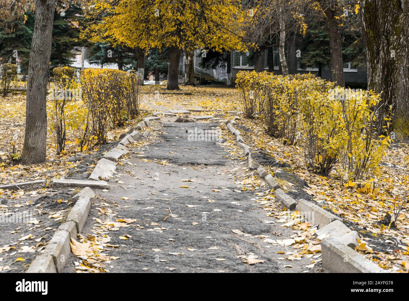 Unkempt, old Park in city. Broken Park footpath, broken curb and split ...