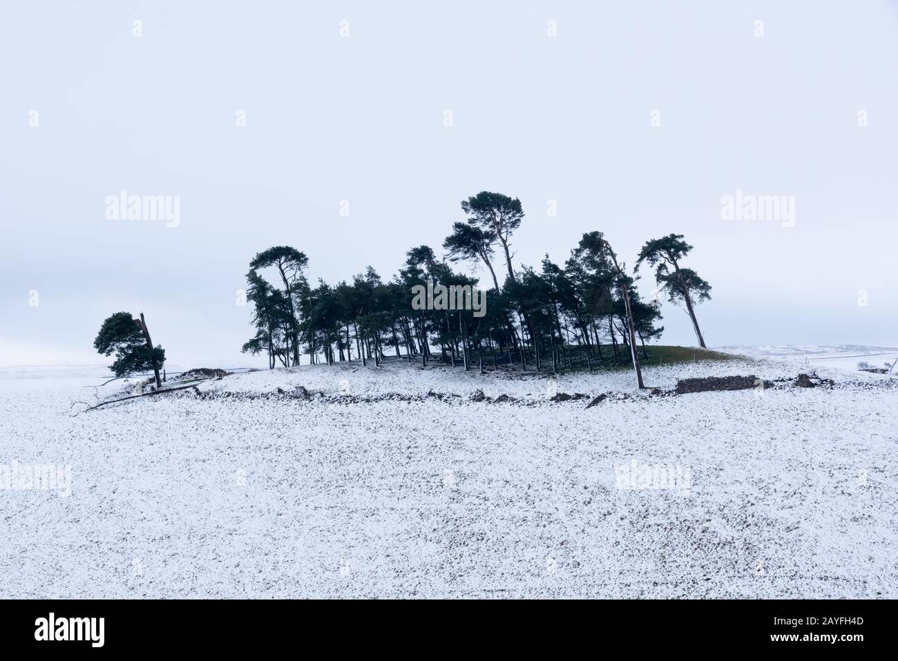 Lady hill hi-res stock photography and images - Alamy