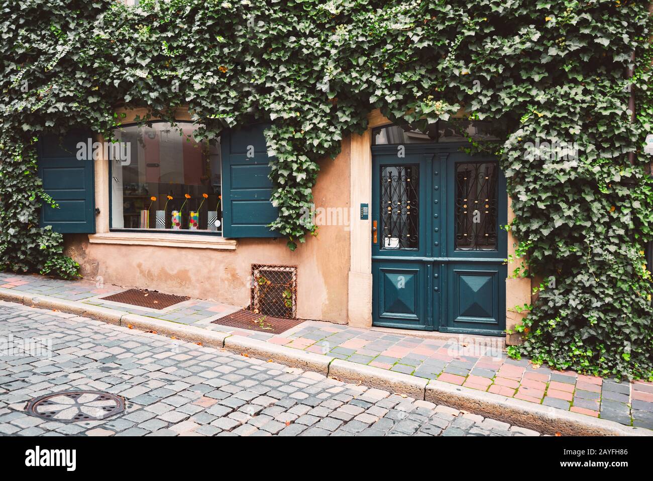 Beautiful street shop in Germany, Europe. Lush green on facade of ...