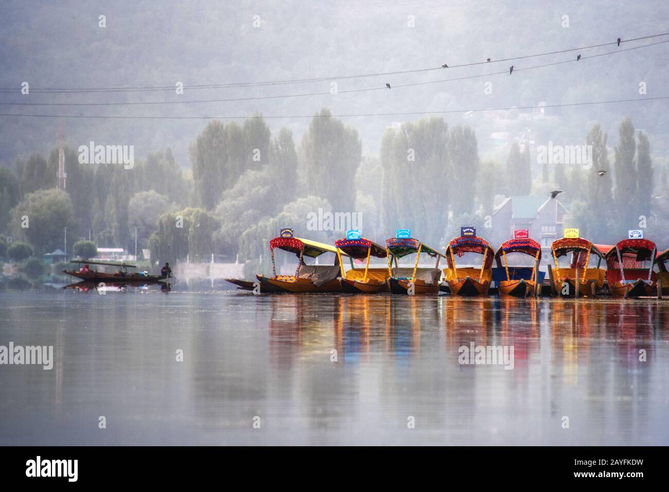Dal lake hi-res stock photography and images - Alamy