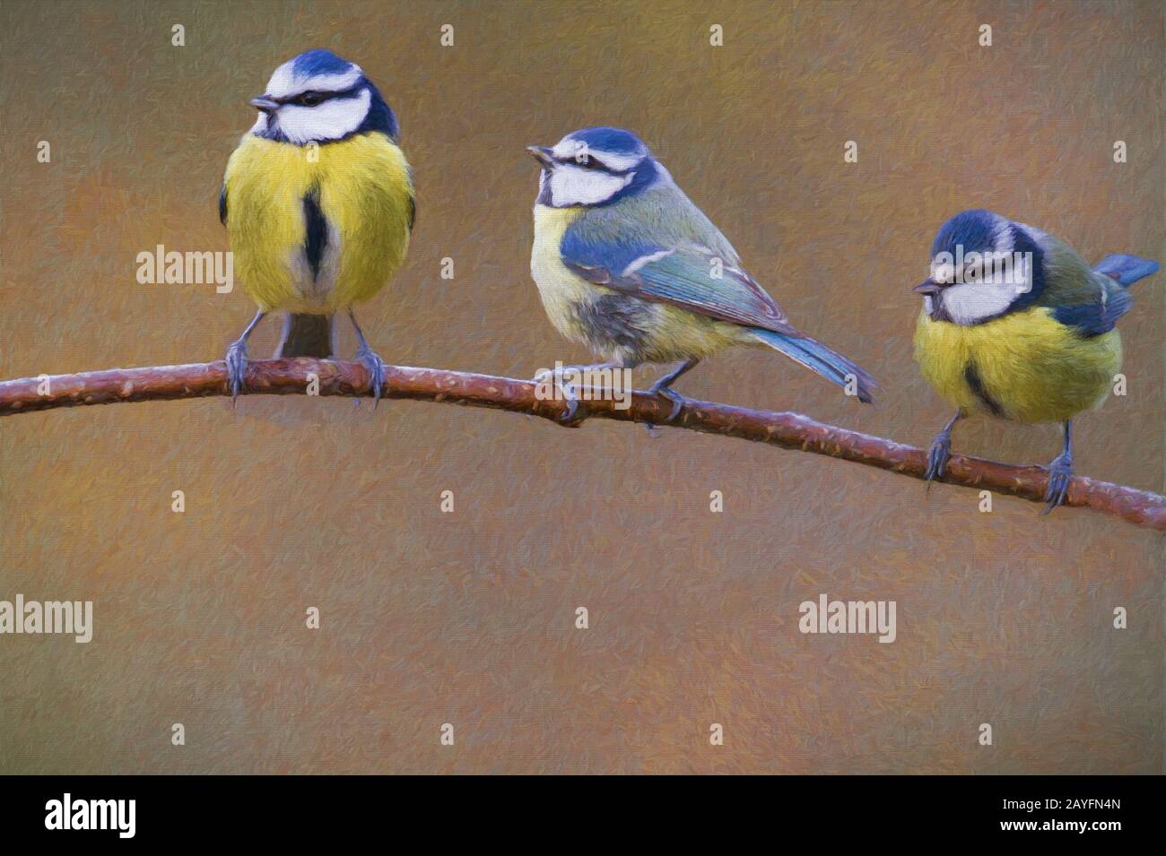 Cute Bird Composite Stock Photo - Alamy