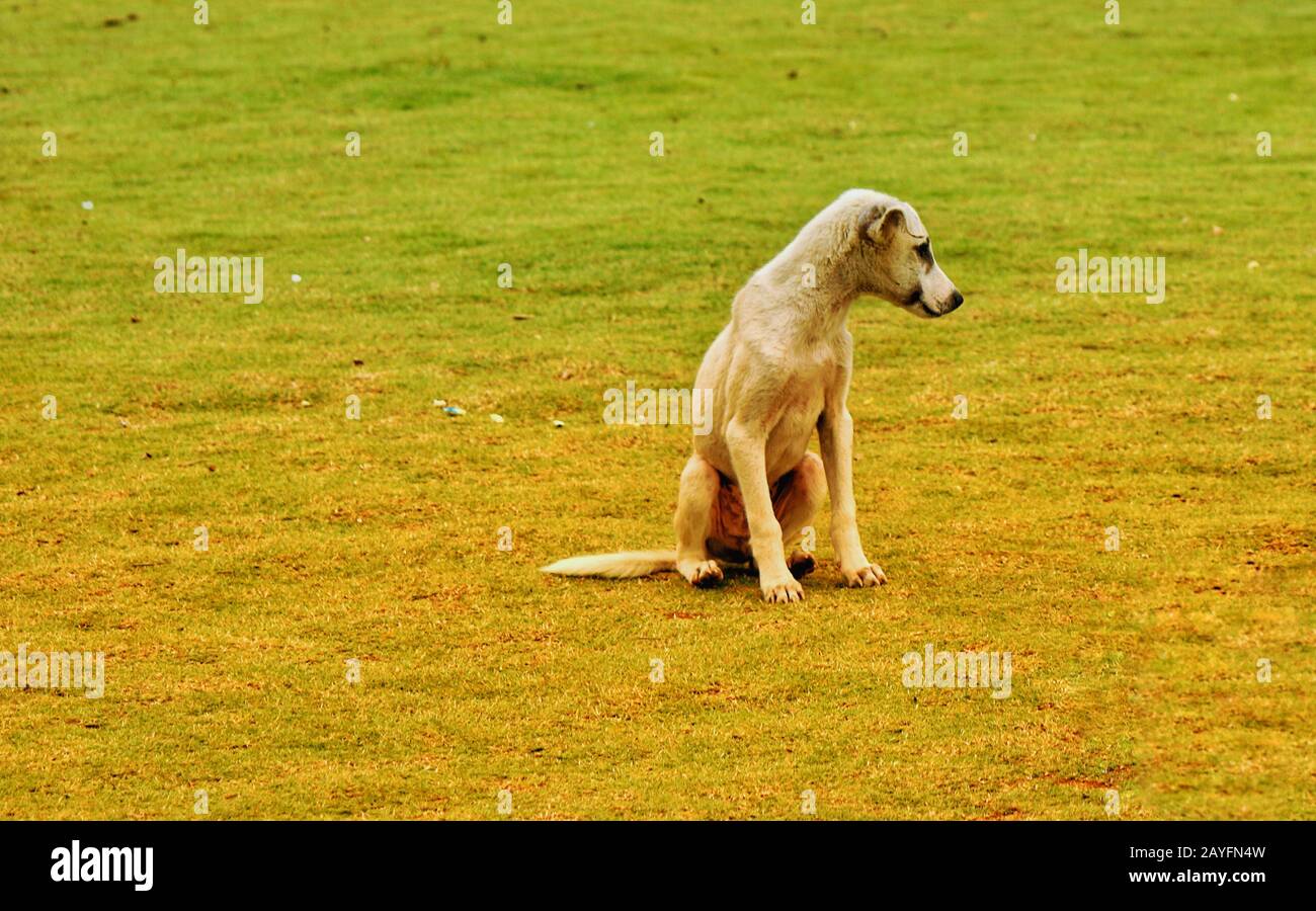 Completed lands hi-res stock photography and images - Alamy