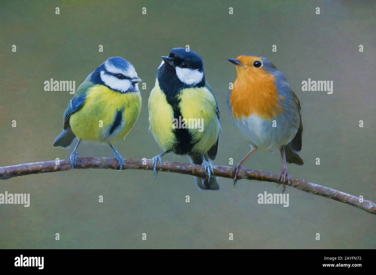 Cute Bird Composite Stock Photo - Alamy