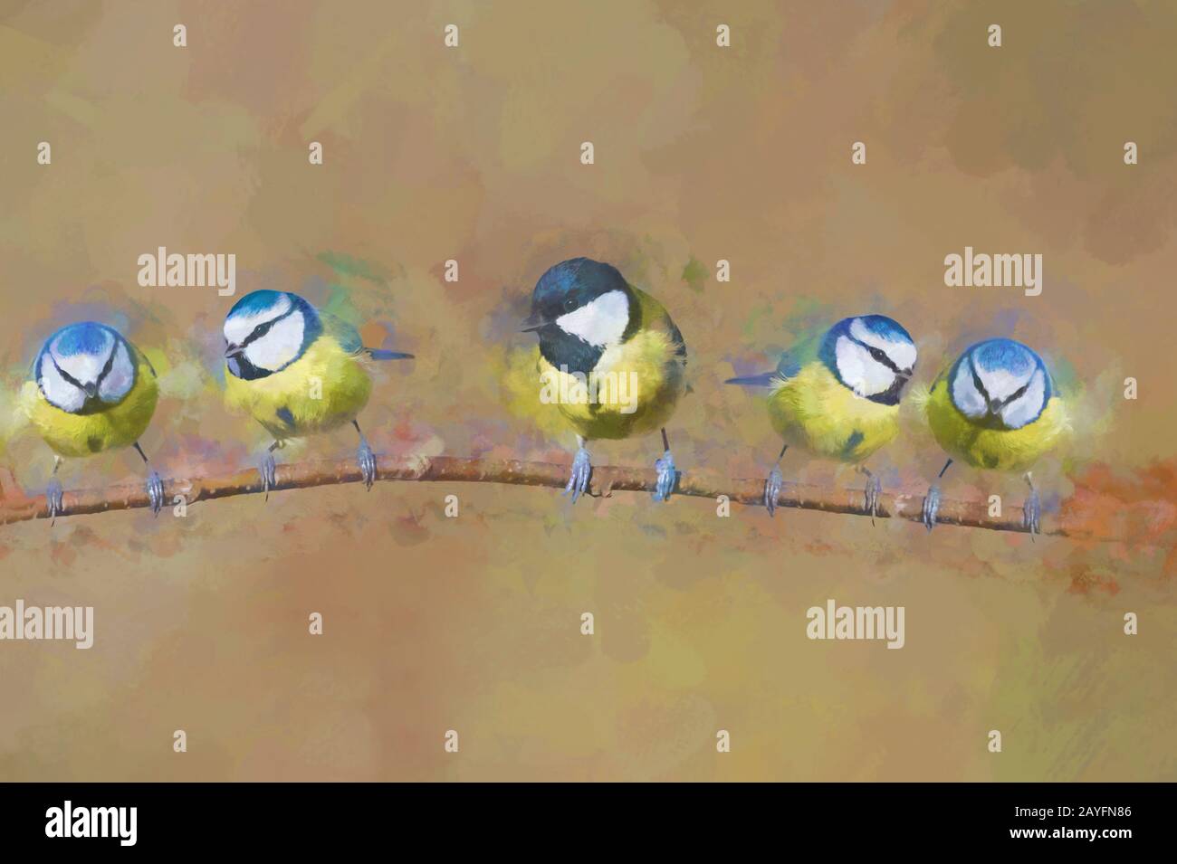 Cute Bird Composite Stock Photo - Alamy