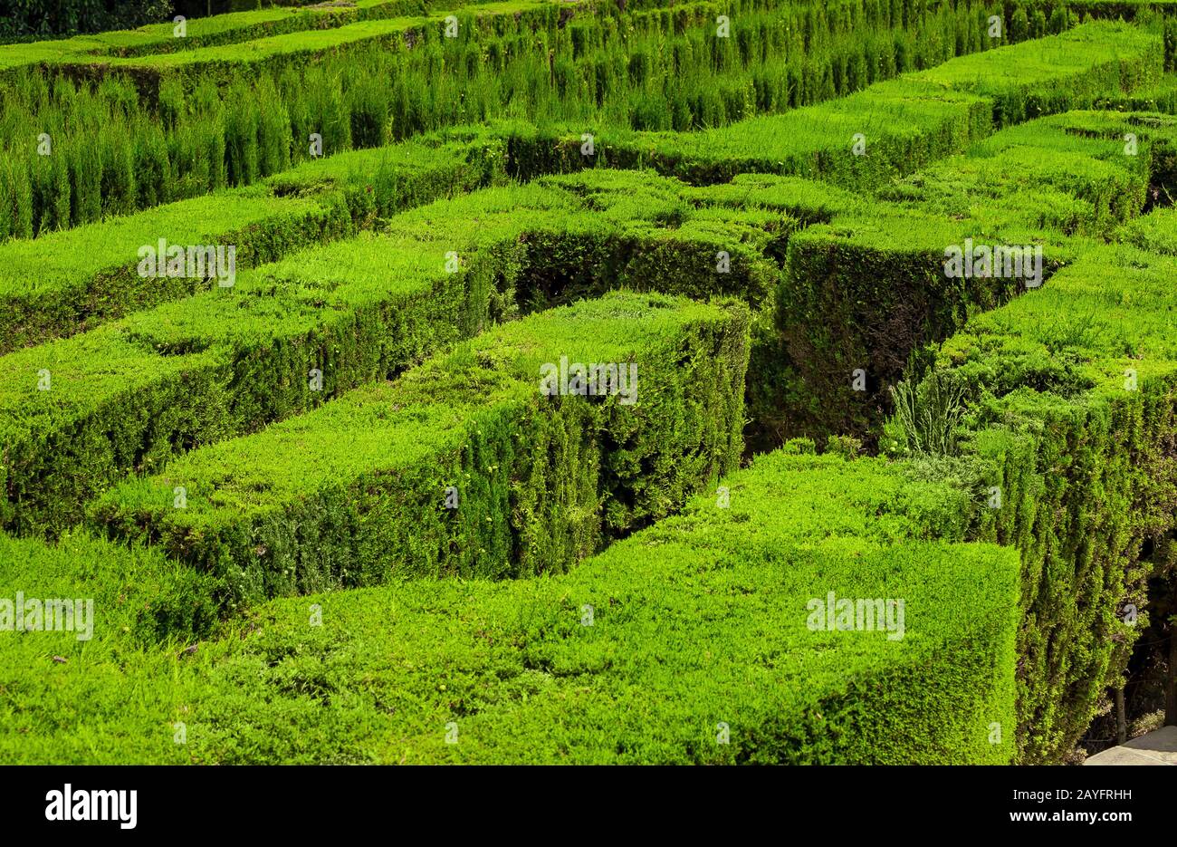 Park and garden with labyrinth maze in Barcelona Spain at summer Stock ...