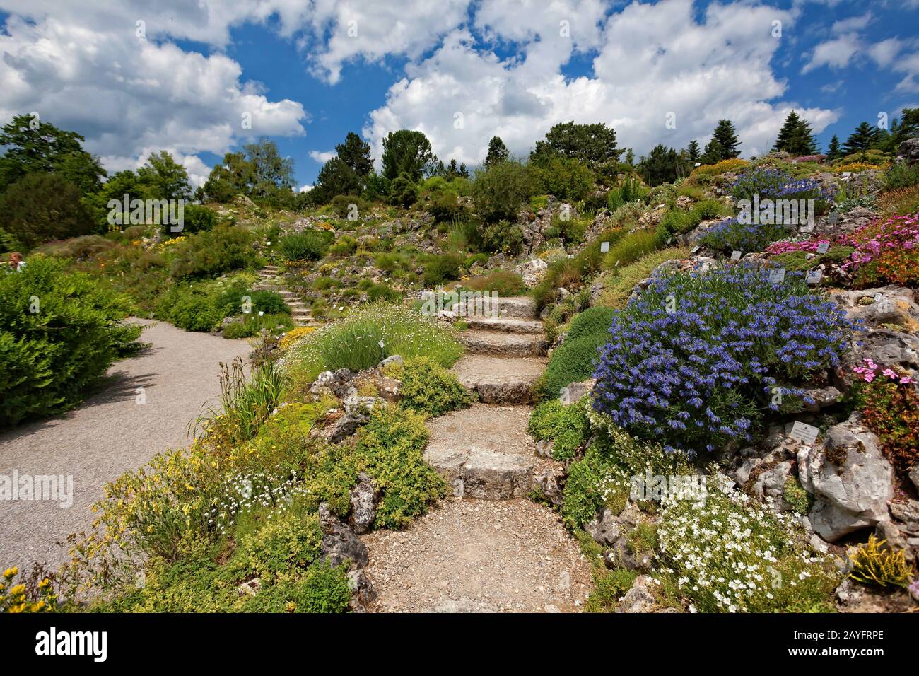 , Botanical garden in Munich, Germany, Bavaria, Muenchen Stock Photo ...