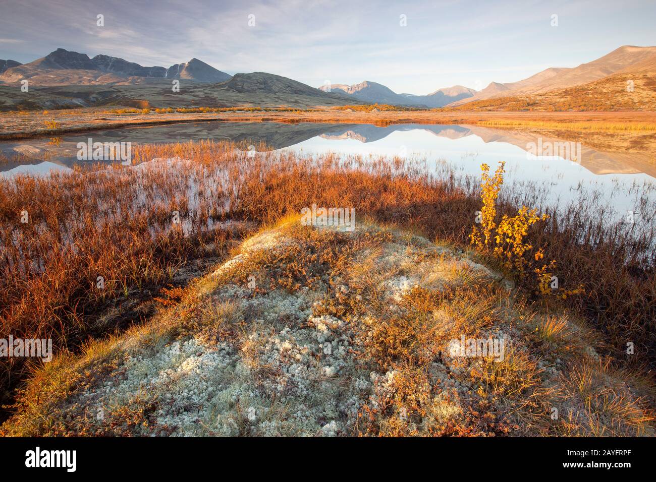 river Rondane national parc in autumn, Norway, Rondane National Park ...