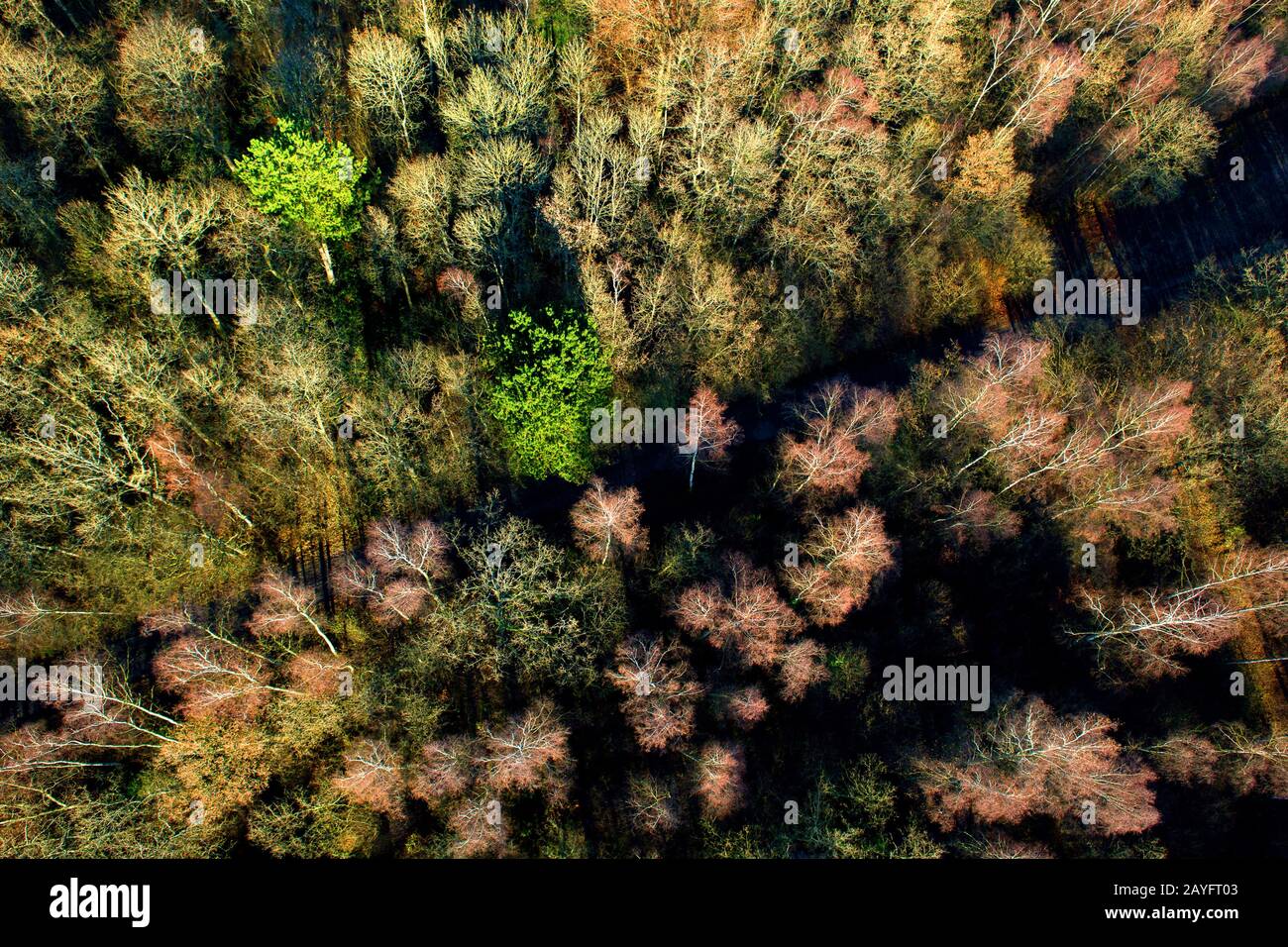 valley of Viroin, aerial view, Belgium, Ardennes, Dourbes, Viroin Stock ...