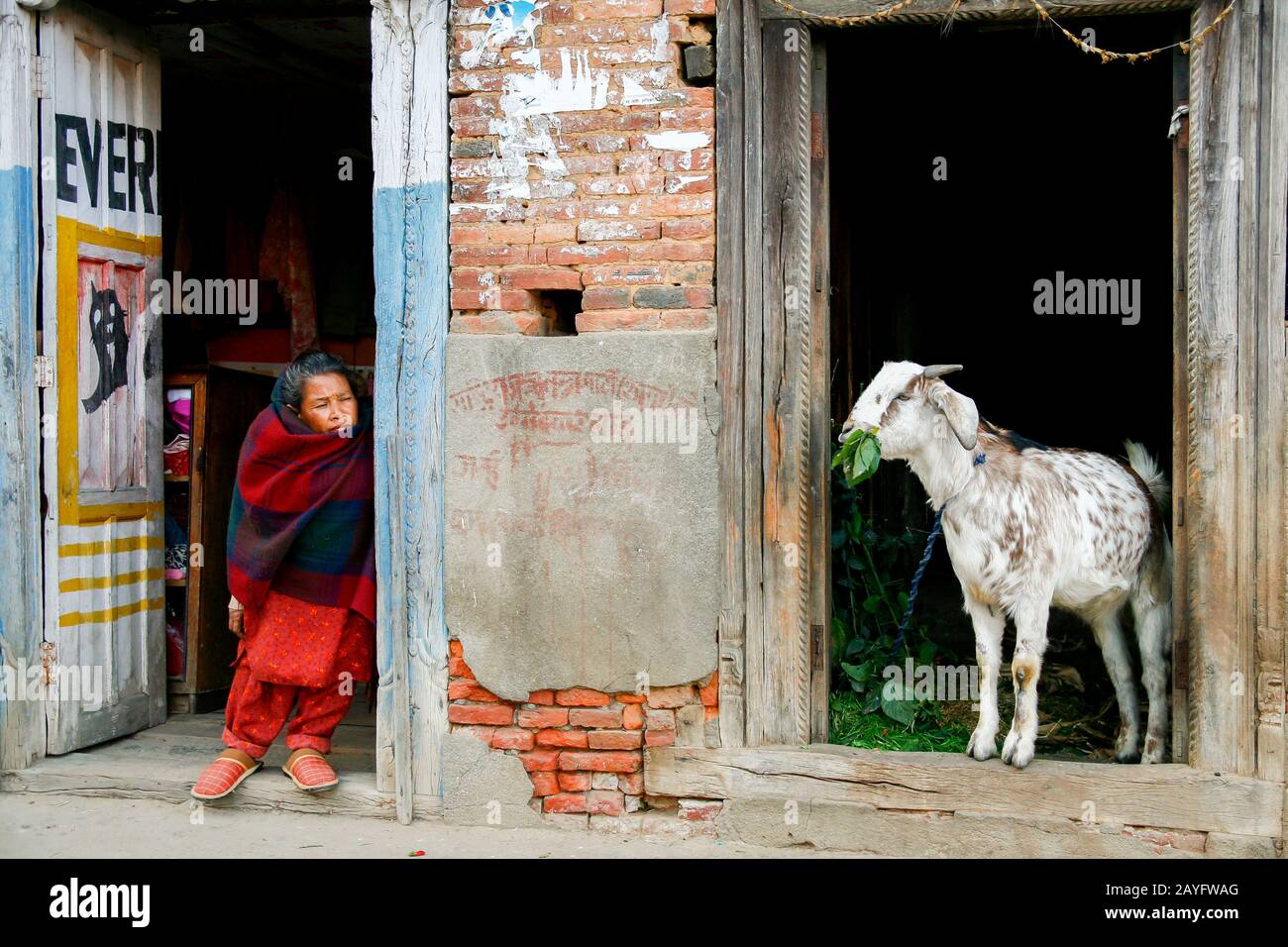 Goat lady hi-res stock photography and images - Alamy