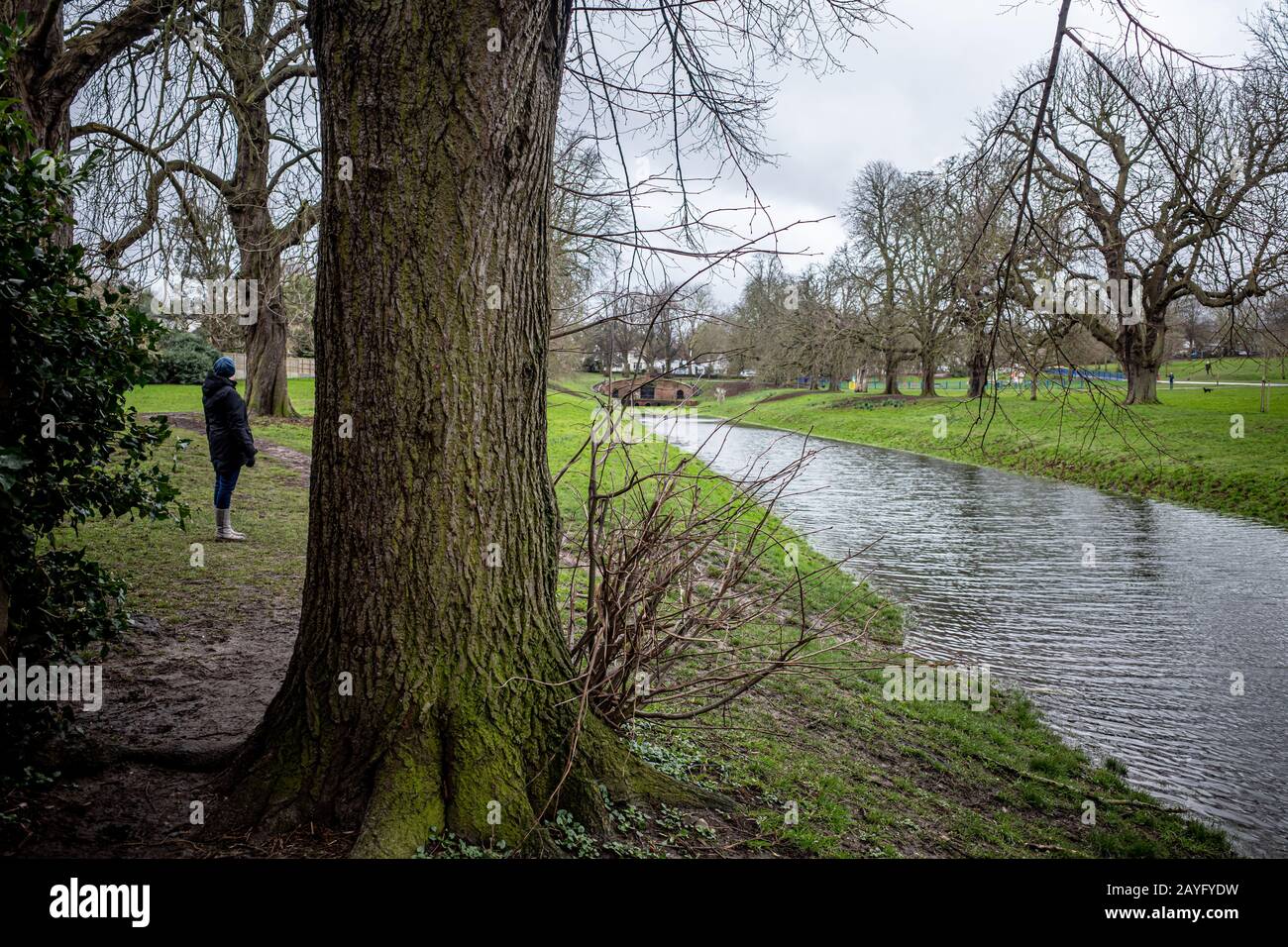 A woman looking at the flooding in Carshalton Park, Wallington Stock ...