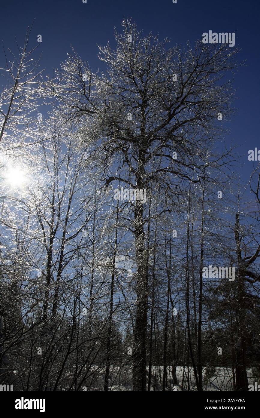 Verglas hi-res stock photography and images - Alamy