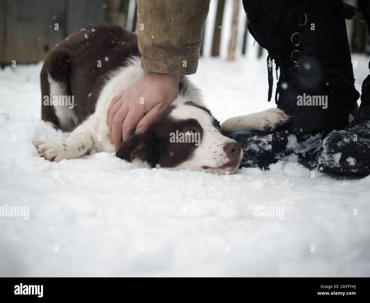 Homeless man in snow hi-res stock photography and images - Alamy