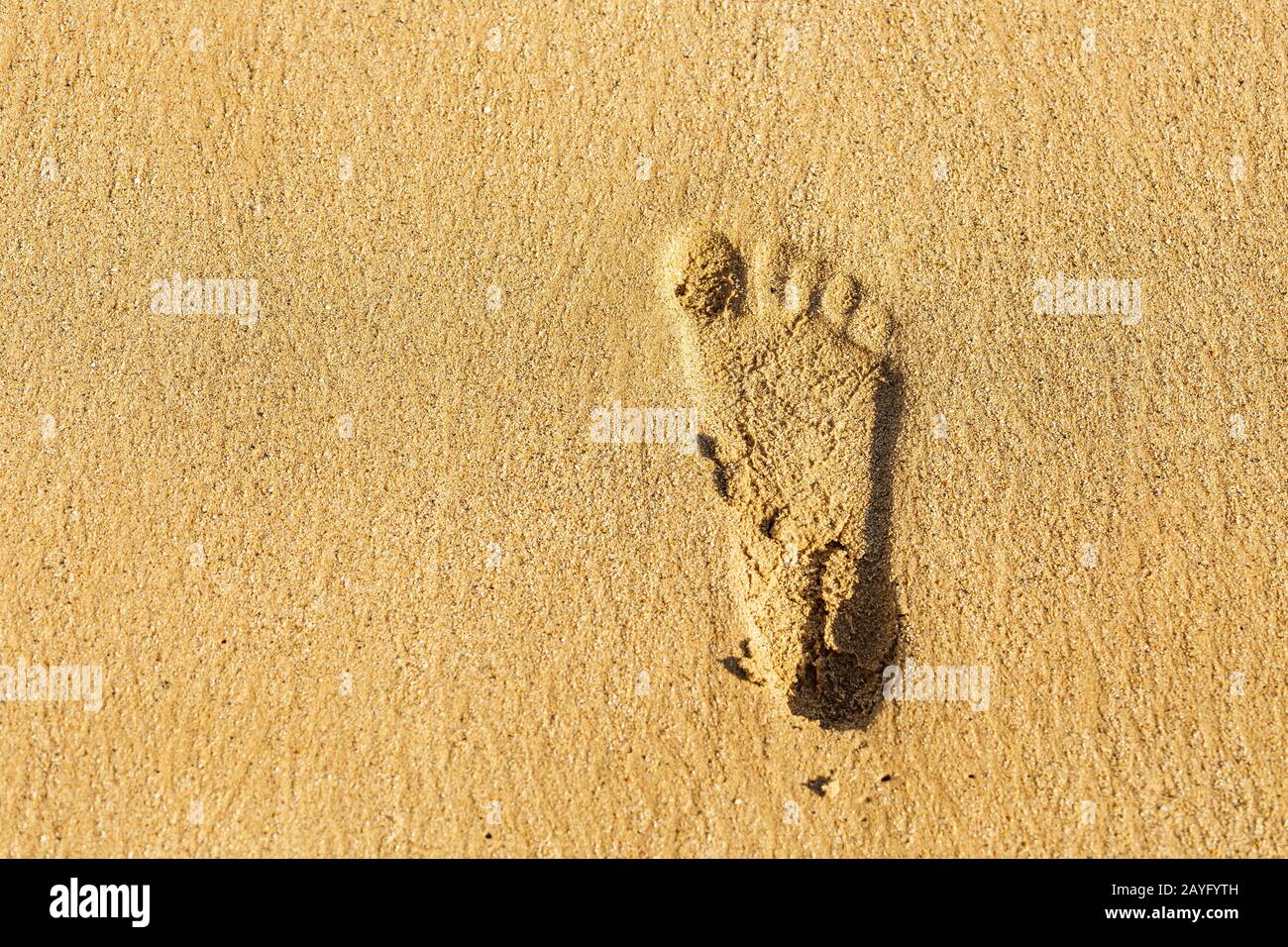Travel footprint hi-res stock photography and images - Alamy