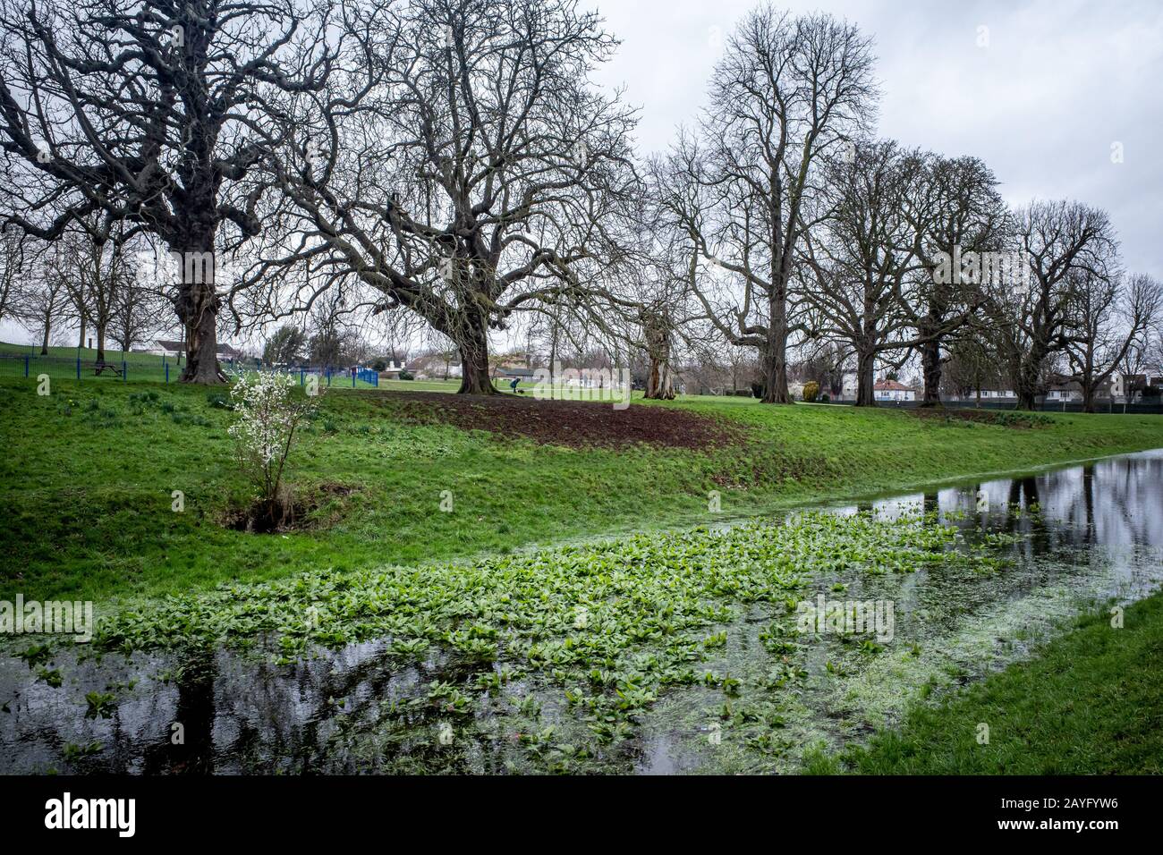 Flooding in Carshalton Park, Wallington, Surrey Stock Photo - Alamy