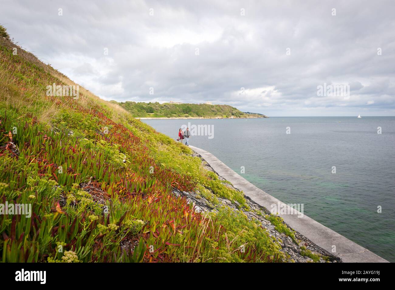 View of Pendennis Point and castle from the sea front in Falmouth ...