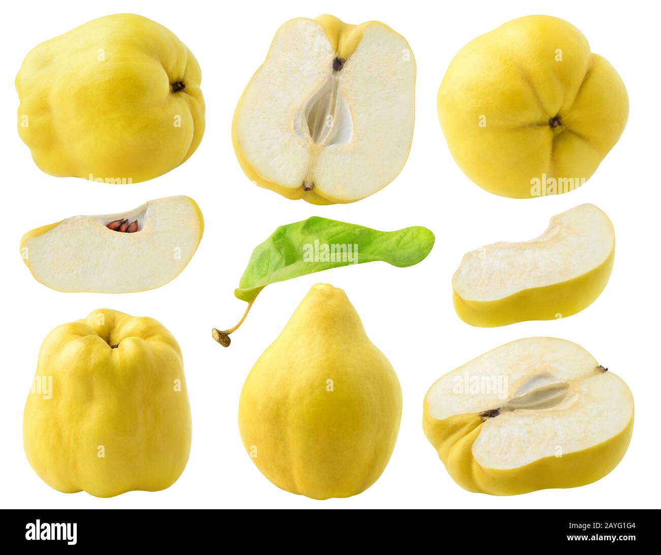 Isolated quince fruits. Collection of whole quince fruits and cut into ...