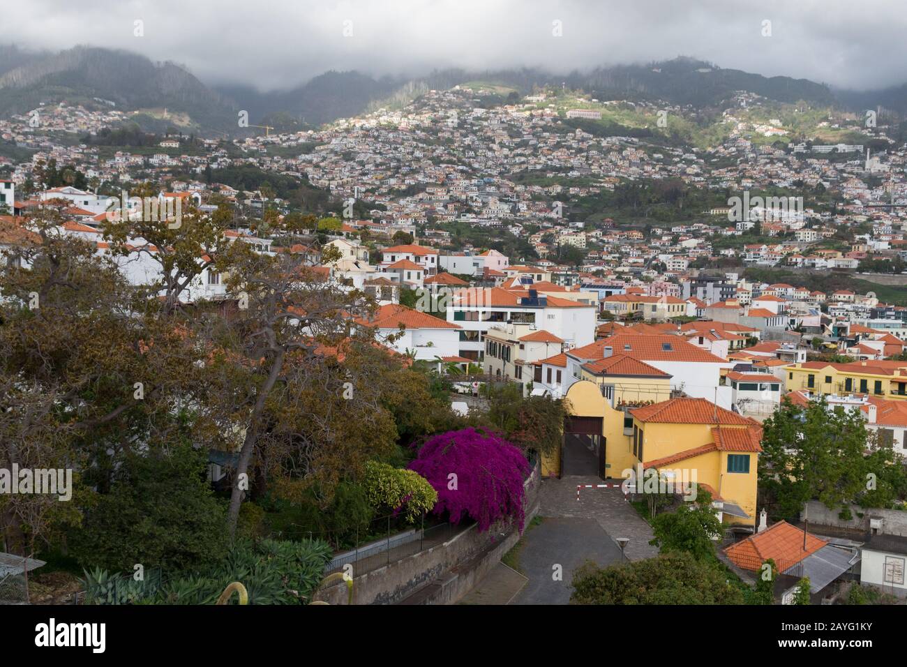 City of Funchal town and villages upp in the mountains covered with ...