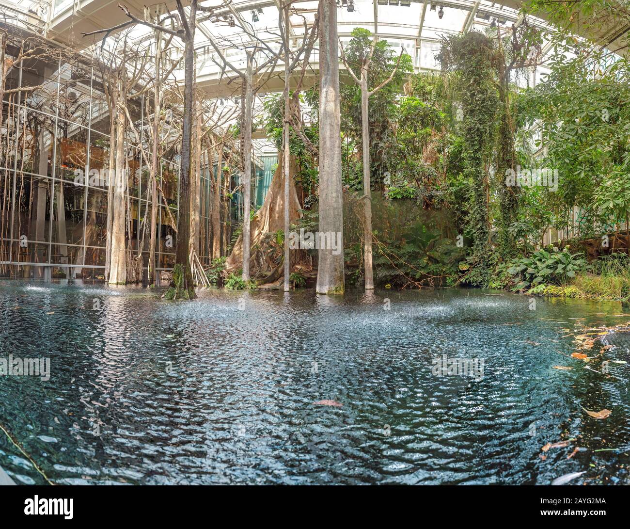 28 JULY 2018, BARCELONA, SPAIN: Tropical Rainforest with pond in ...
