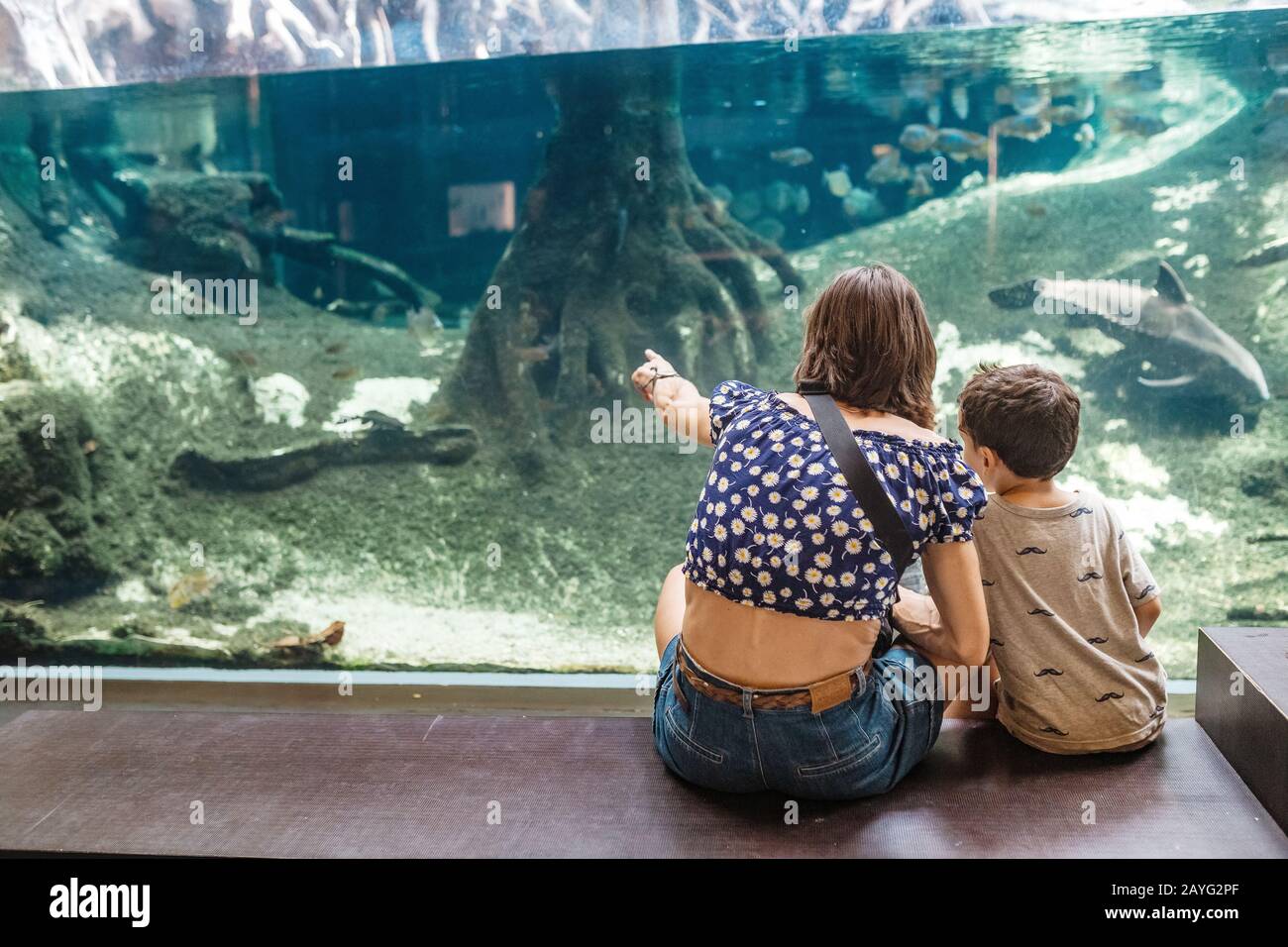 28 JULY 2018, BARCELONA, SPAIN: happy family looking at fish in a ...
