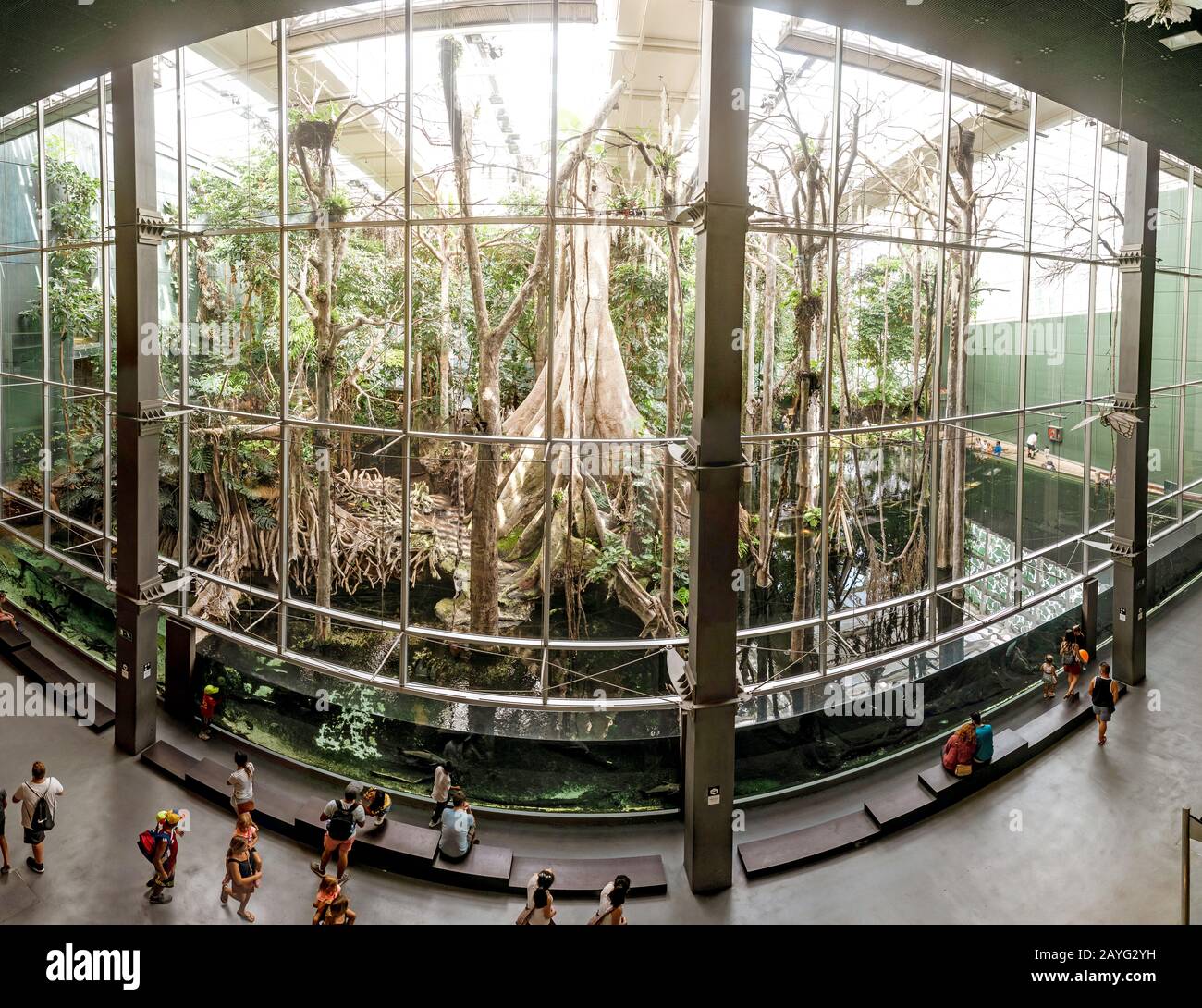 28 JULY 2018, BARCELONA, SPAIN: Tropical Rainforest with pond in ...