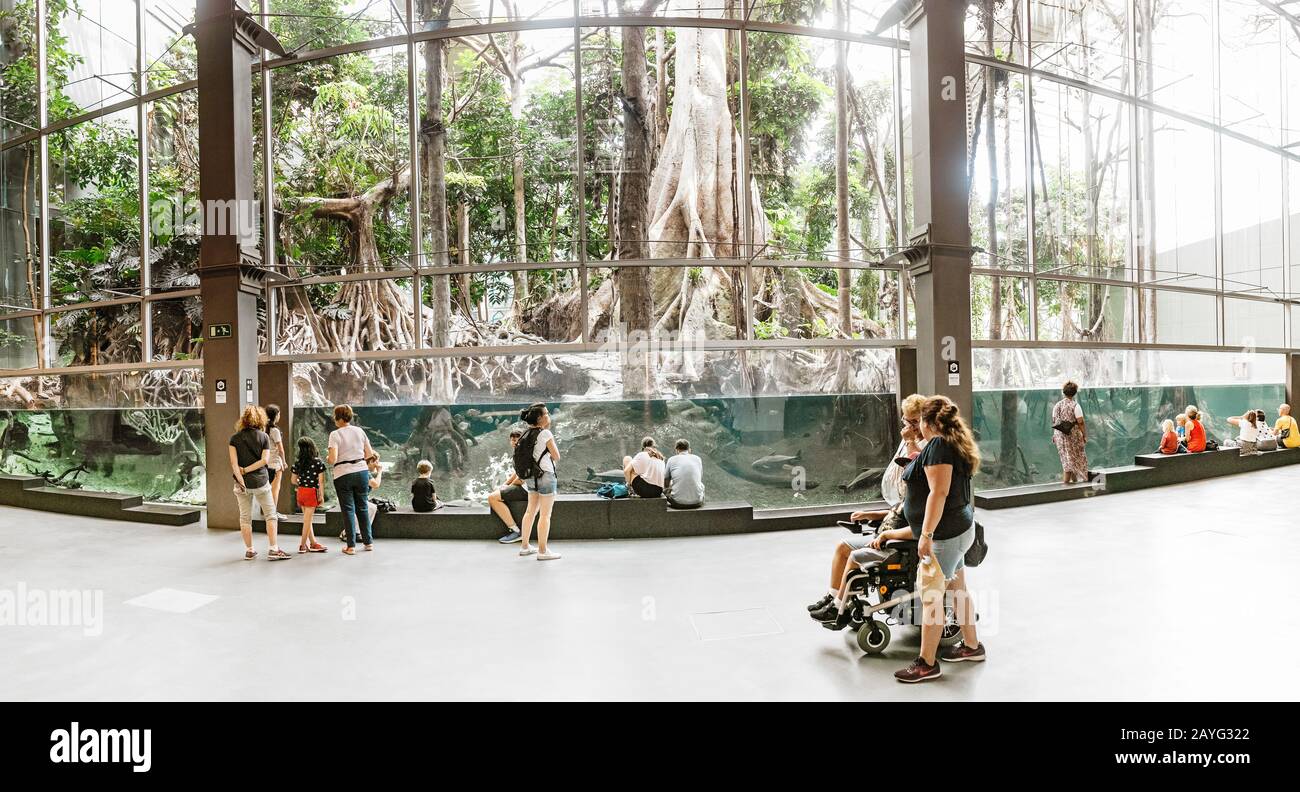 Barcelona zoo family hi-res stock photography and images - Alamy