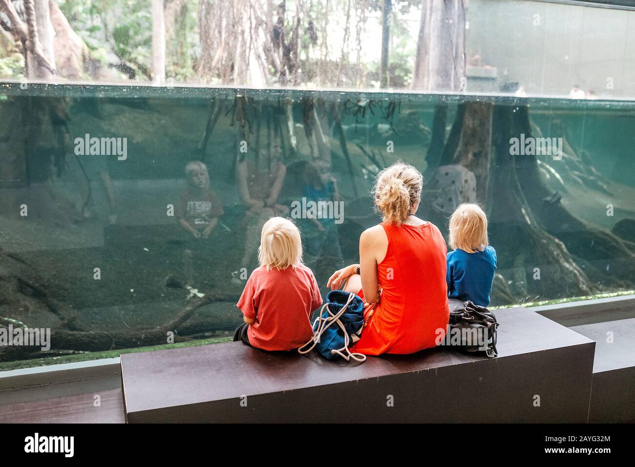 28 JULY 2018, BARCELONA, SPAIN: Happy family looking at fish in ...