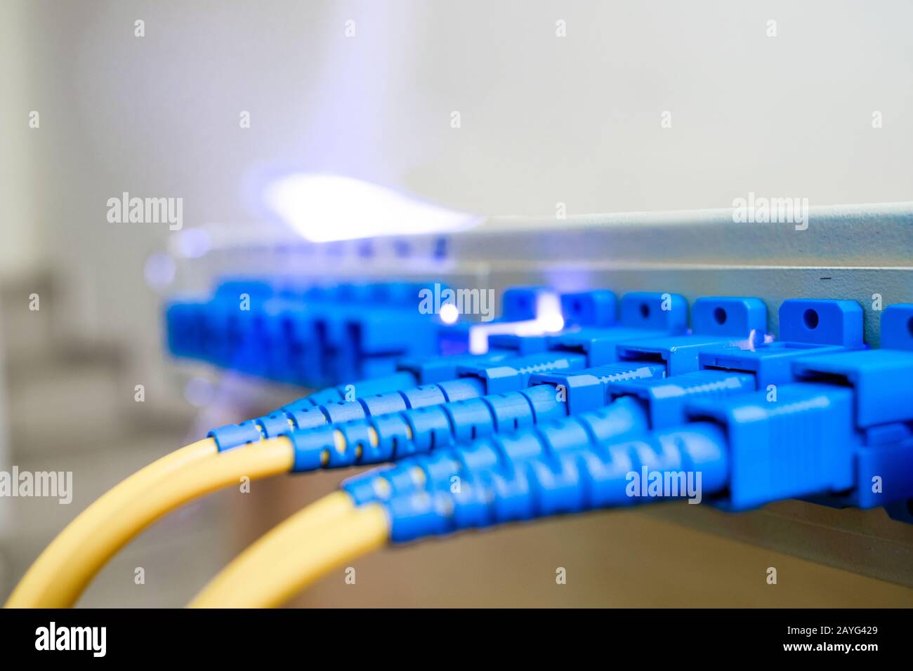 Batch wires are connected in the Optical Fiber Distribution Frame. The ...