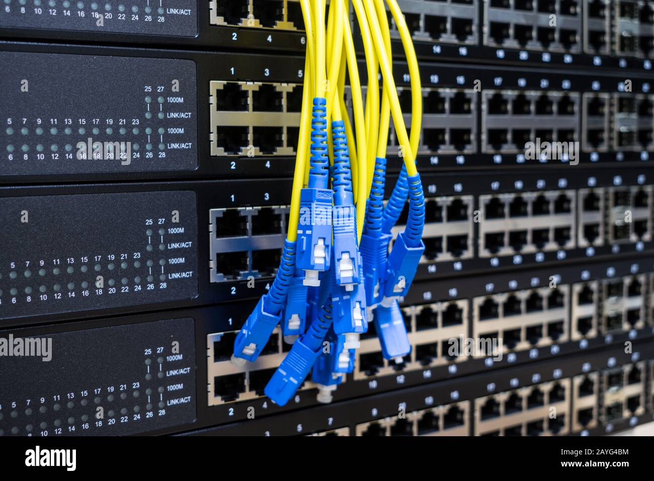 A bundle of optical Internet wires is on the manager switches. Bunch of ...