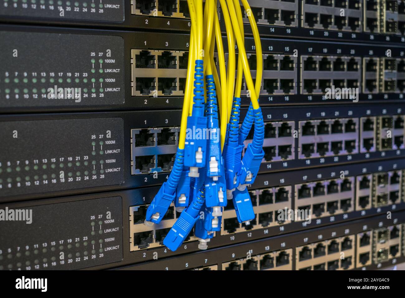 A bundle of optical Internet wires is on the manager switches. Bunch of ...
