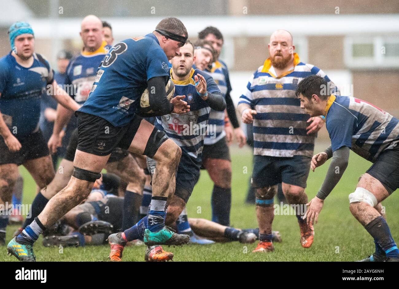 England rugby players hi-res stock photography and images - Alamy