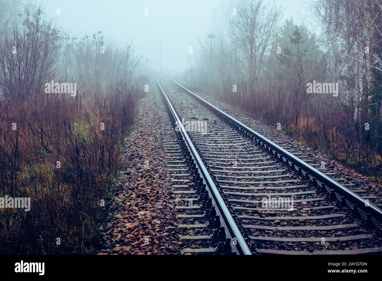 Perspective of railway track disappearing in mist in foggy morning ...