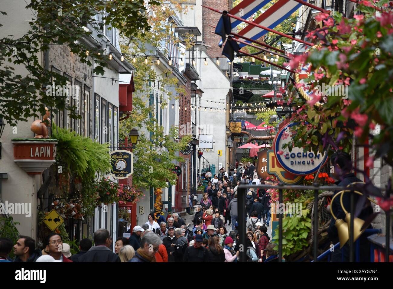 Quartier Petit Champlain, Quebec City, Quebec, Canada Stock Photo - Alamy