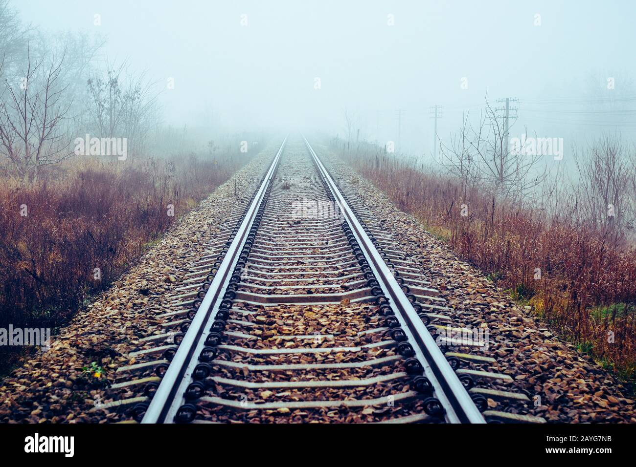 Perspective of railway track disappearing in mist in foggy morning ...