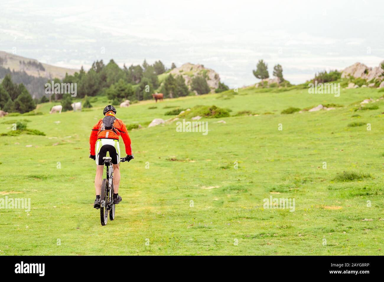 Man riding dirt bike sunset hi-res stock photography and images - Alamy