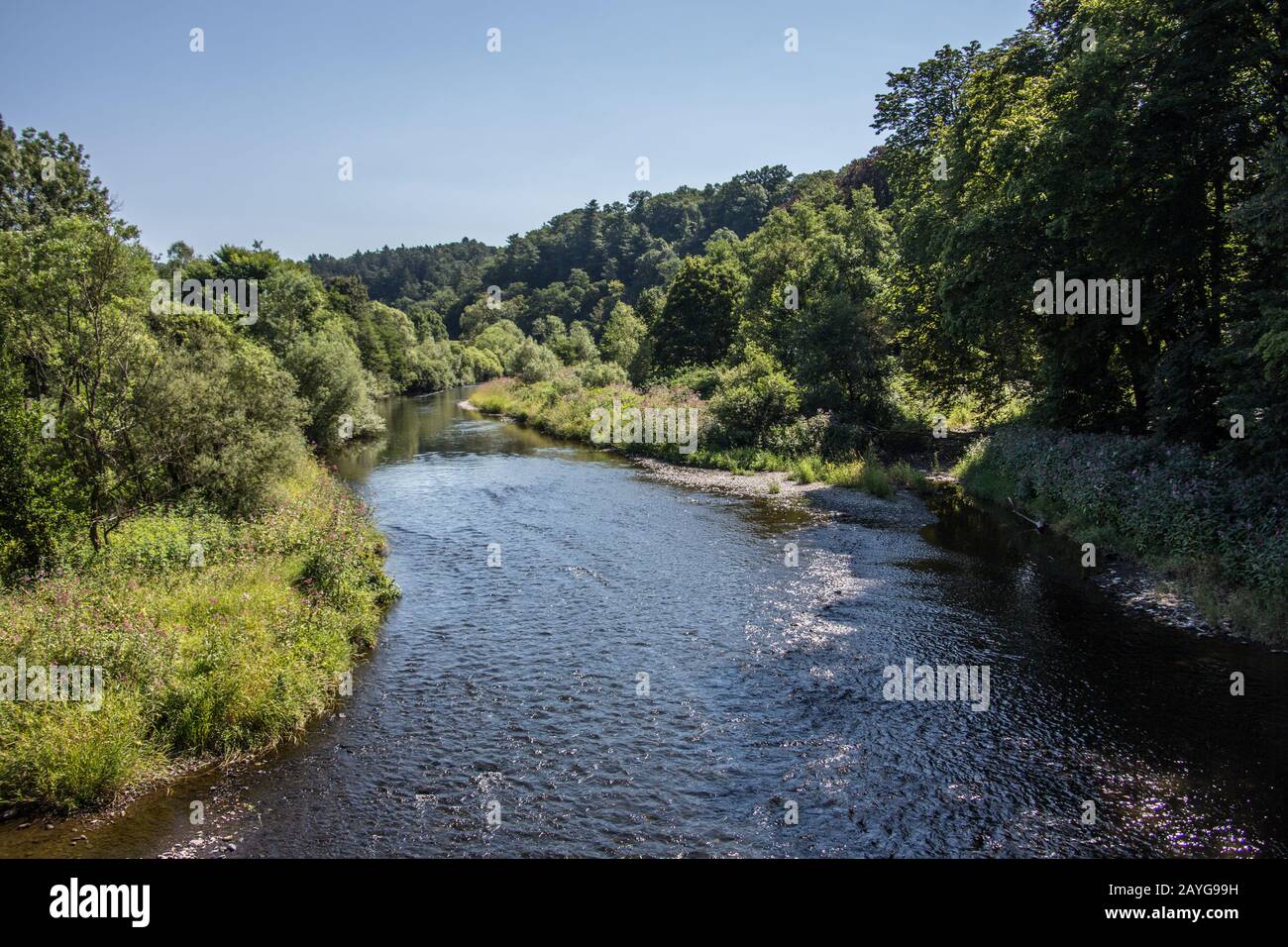 River course with a forested bank Stock Photo - Alamy