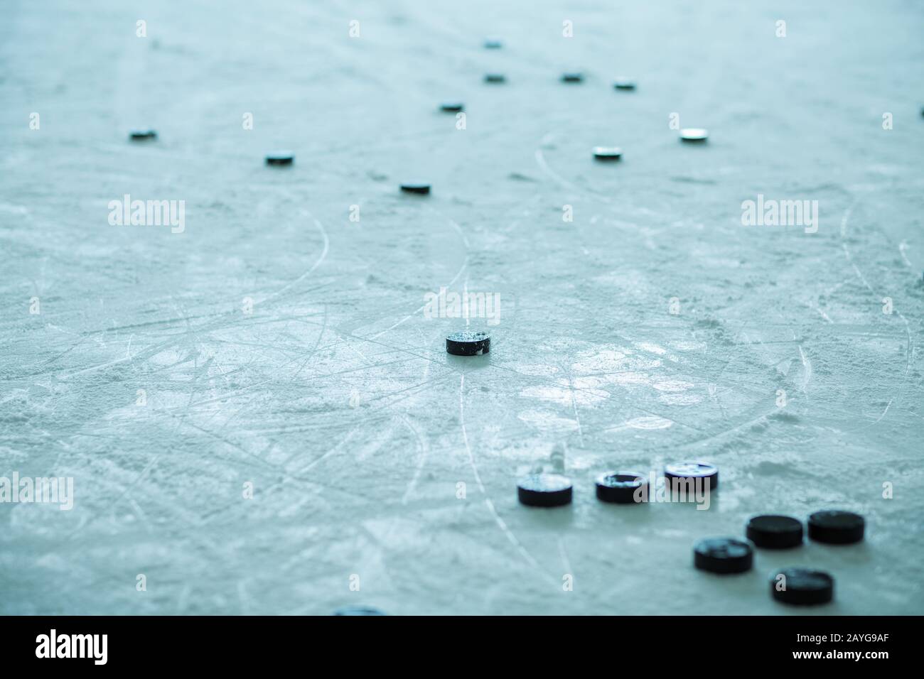 Empty ice rink hi-res stock photography and images - Alamy