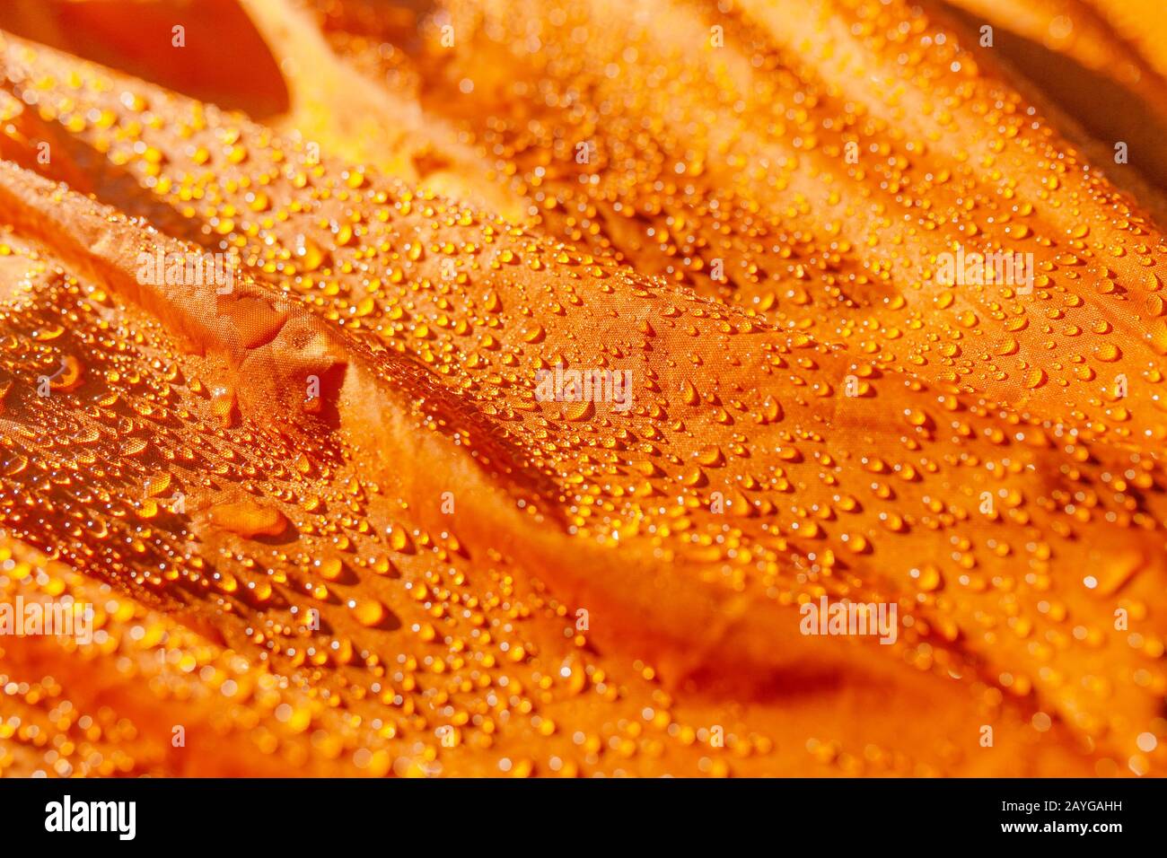 Waterproofing jacket hi-res stock photography and images - Alamy