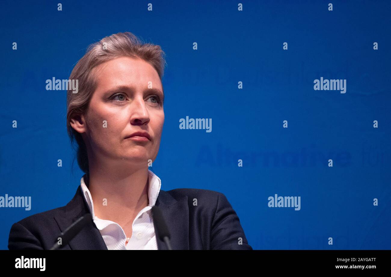 15 February 2020, Baden-Wuerttemberg, Böblingen: Alice Weidel ...