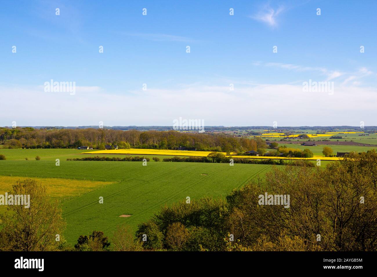 A Scanian (Southern Sweden) landscape filled with fields of green, gold ...