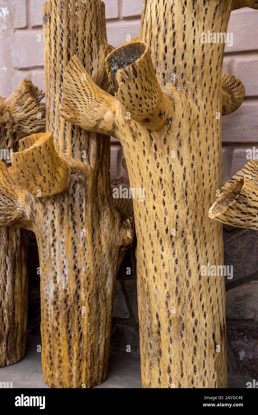 Wooden skeletons of a Cardon cacti for sale in Uquia, a small village ...