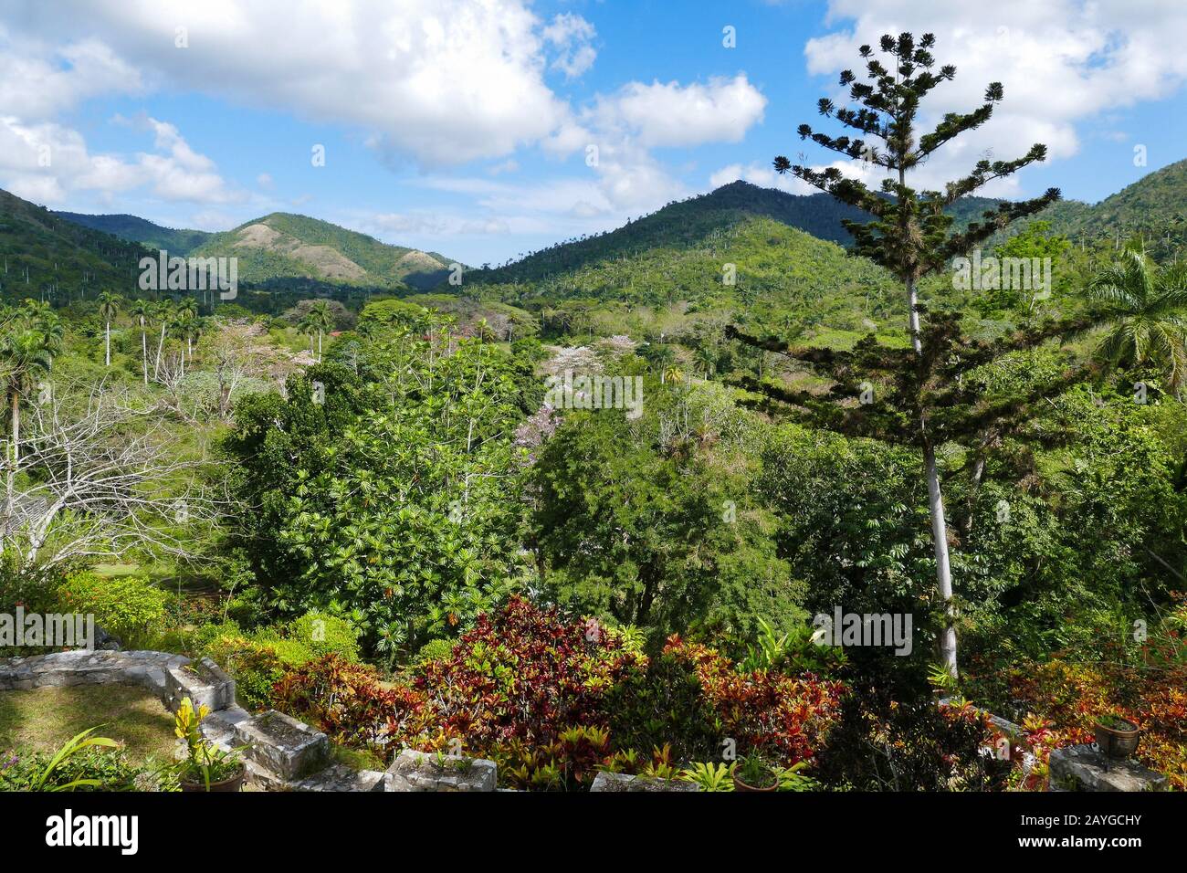 Vegetation landscape with mountains in the countryside in Cuba Stock ...
