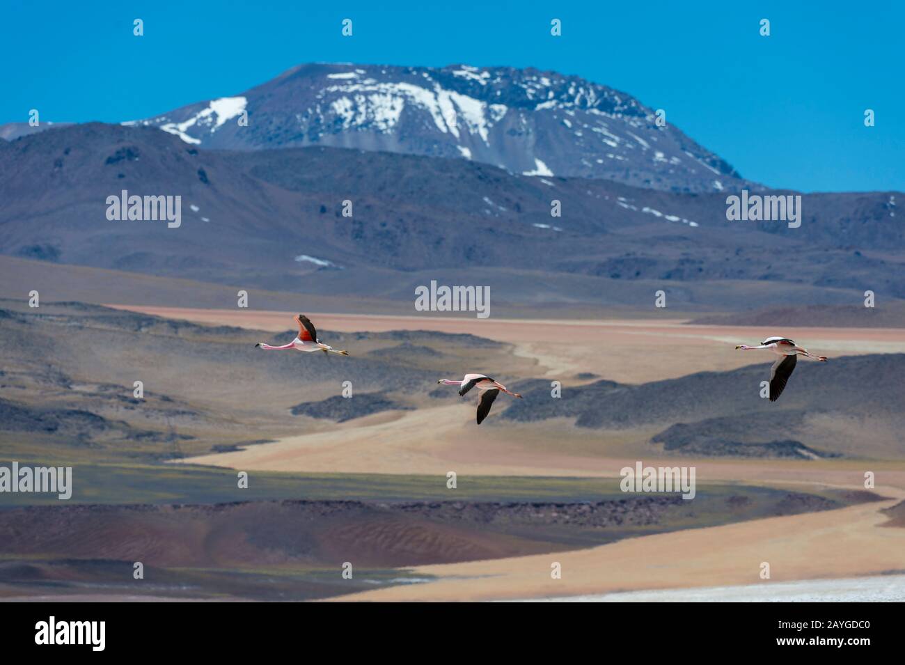 Laguna d hi-res stock photography and images - Alamy
