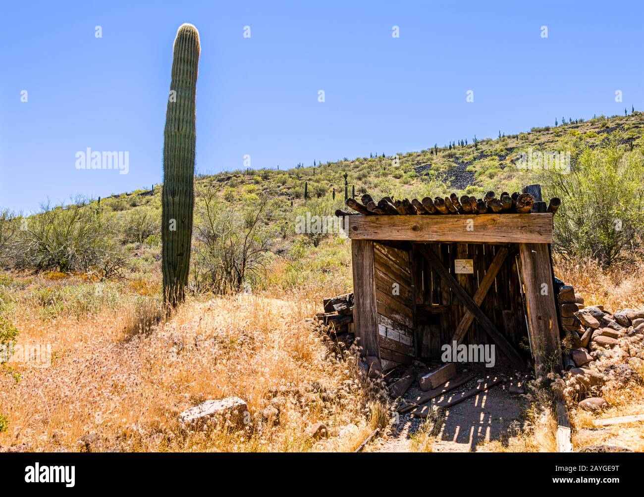 Pioneer Living History Museum: Eagle Mine Entrance Stock Photo - Alamy