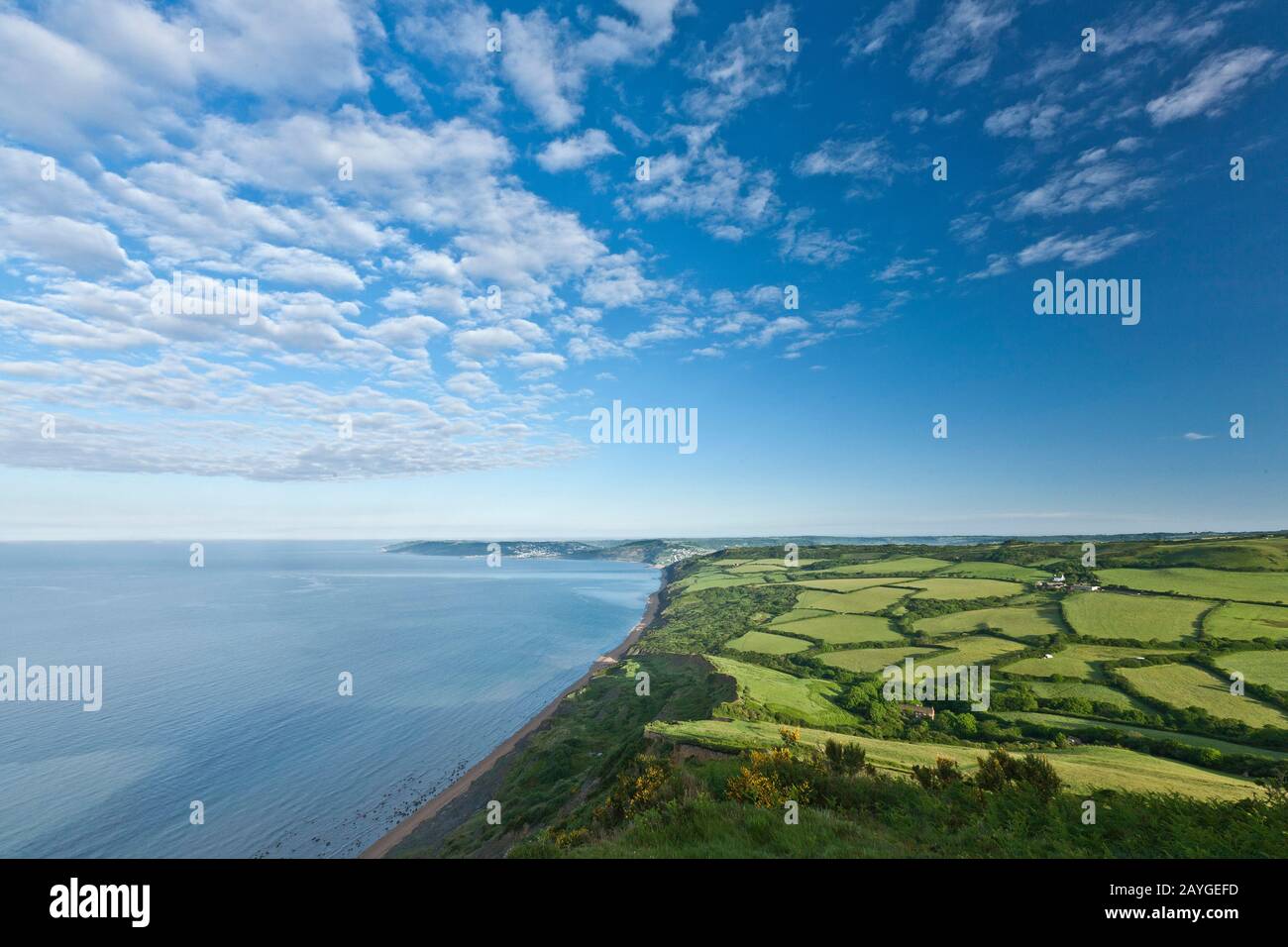Golden cap hi-res stock photography and images - Alamy