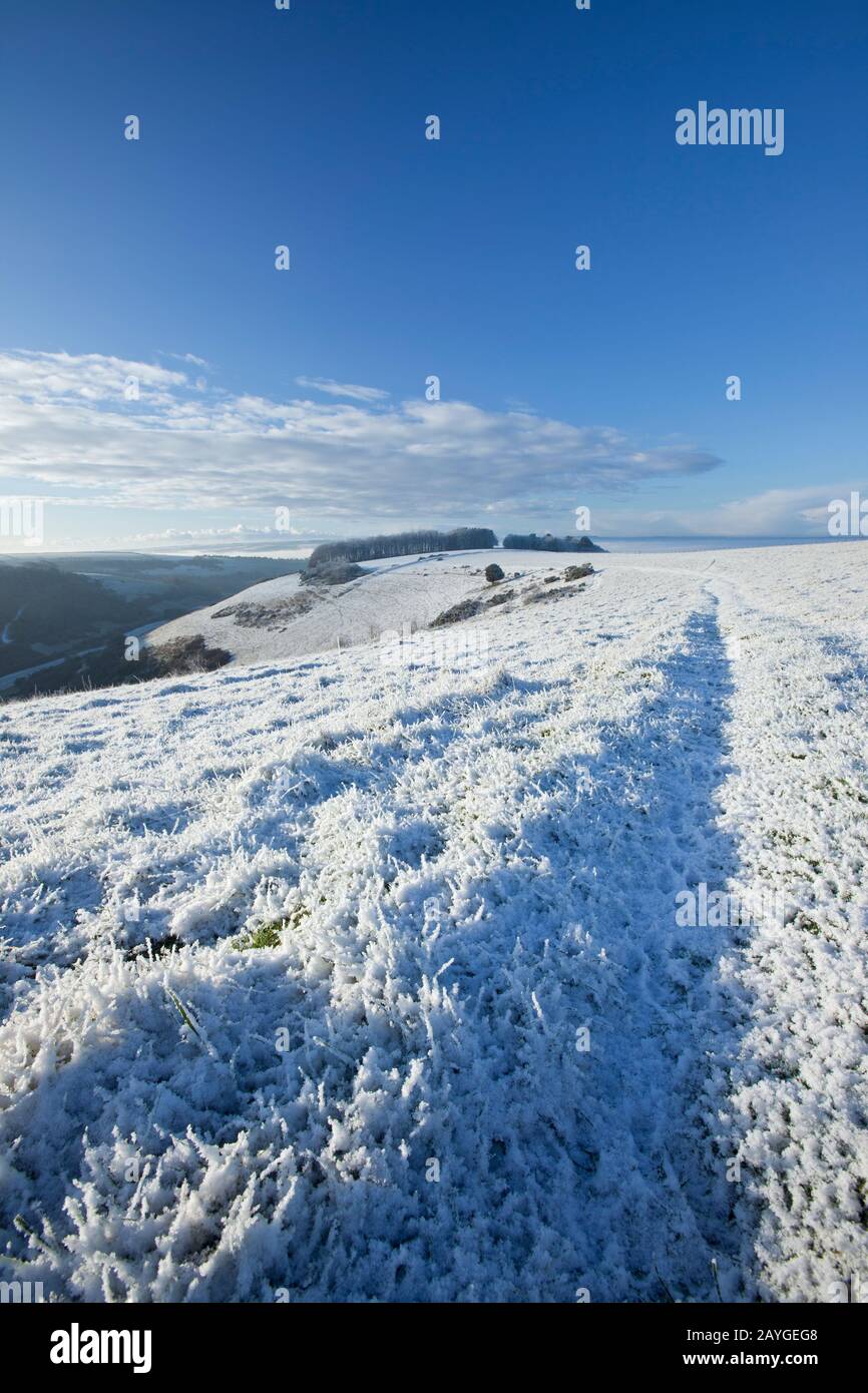 Fontmell Down in winter, Dorset, England, UK Stock Photo - Alamy