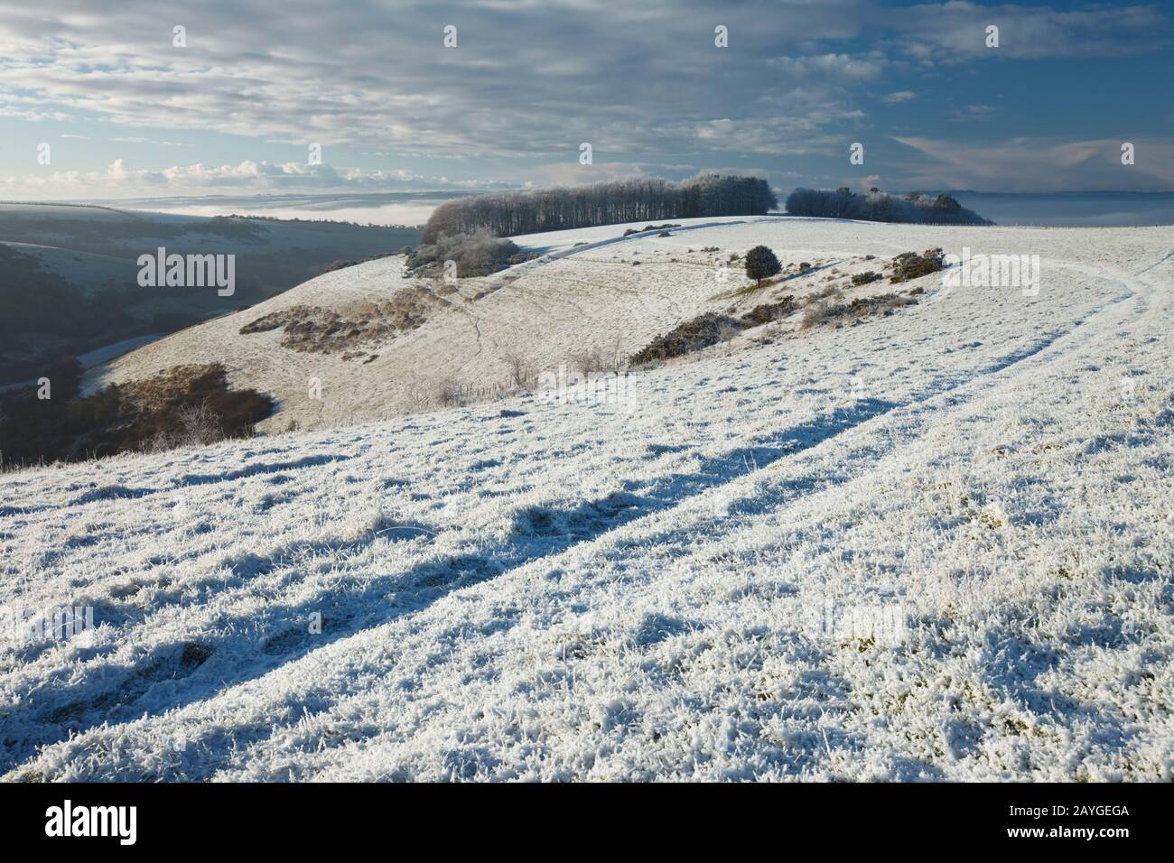 Fontmell Down in winter, Dorset, England, UK Stock Photo - Alamy