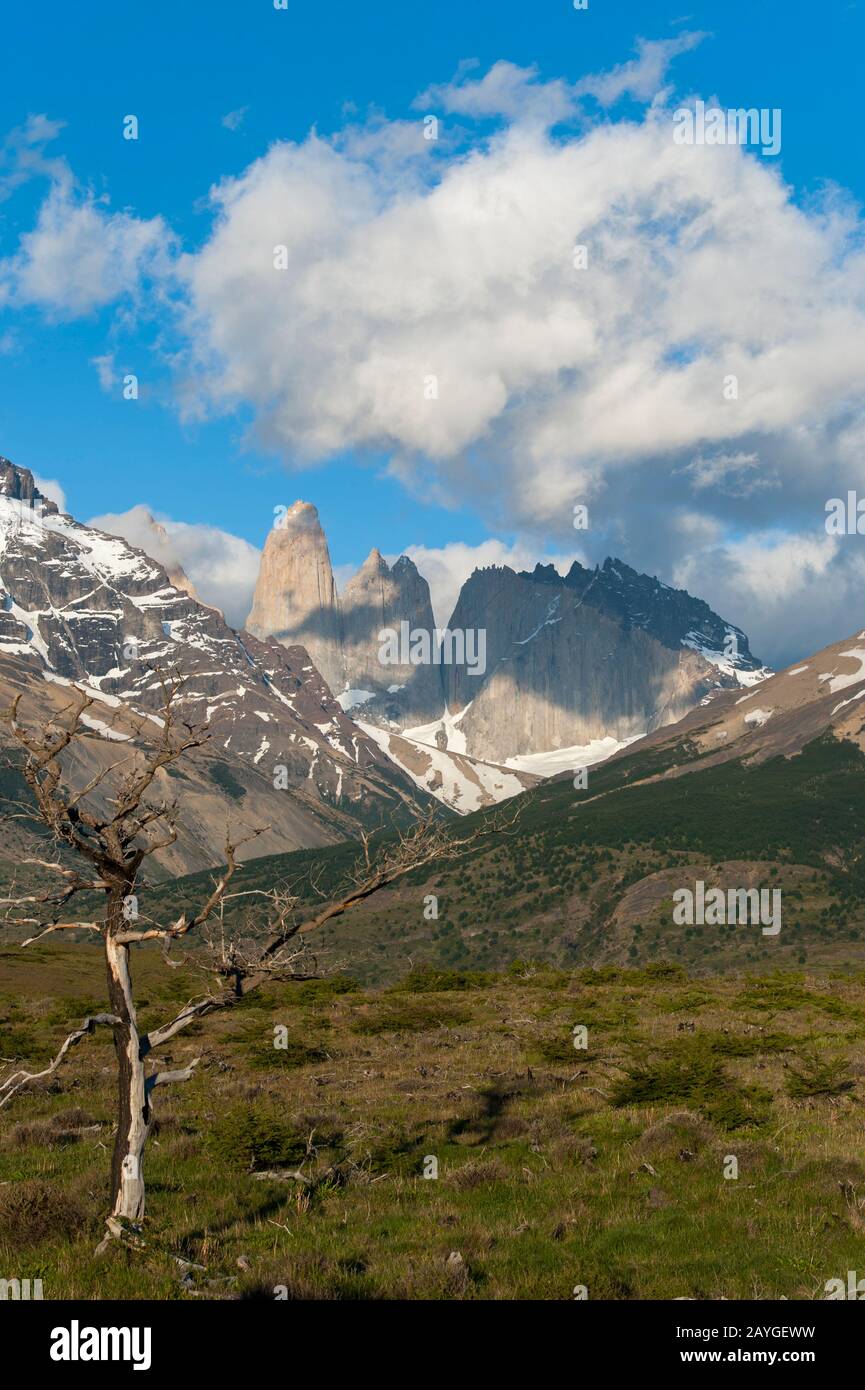 View of the Paine Towers in Torres del Paine National Park in Patagonia ...