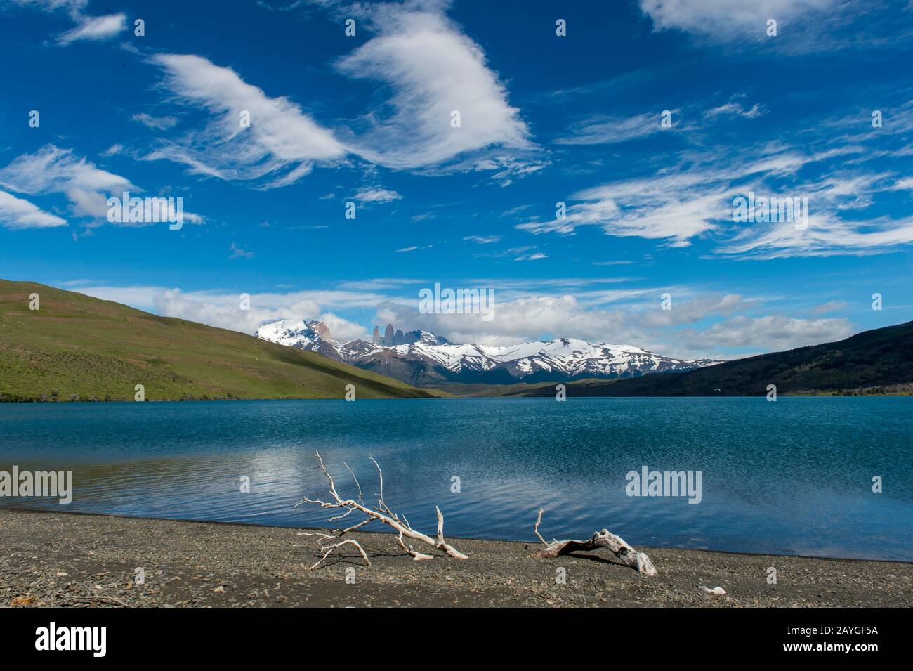 View of Paine Towers with wispy clouds with branch of tree on the beach ...