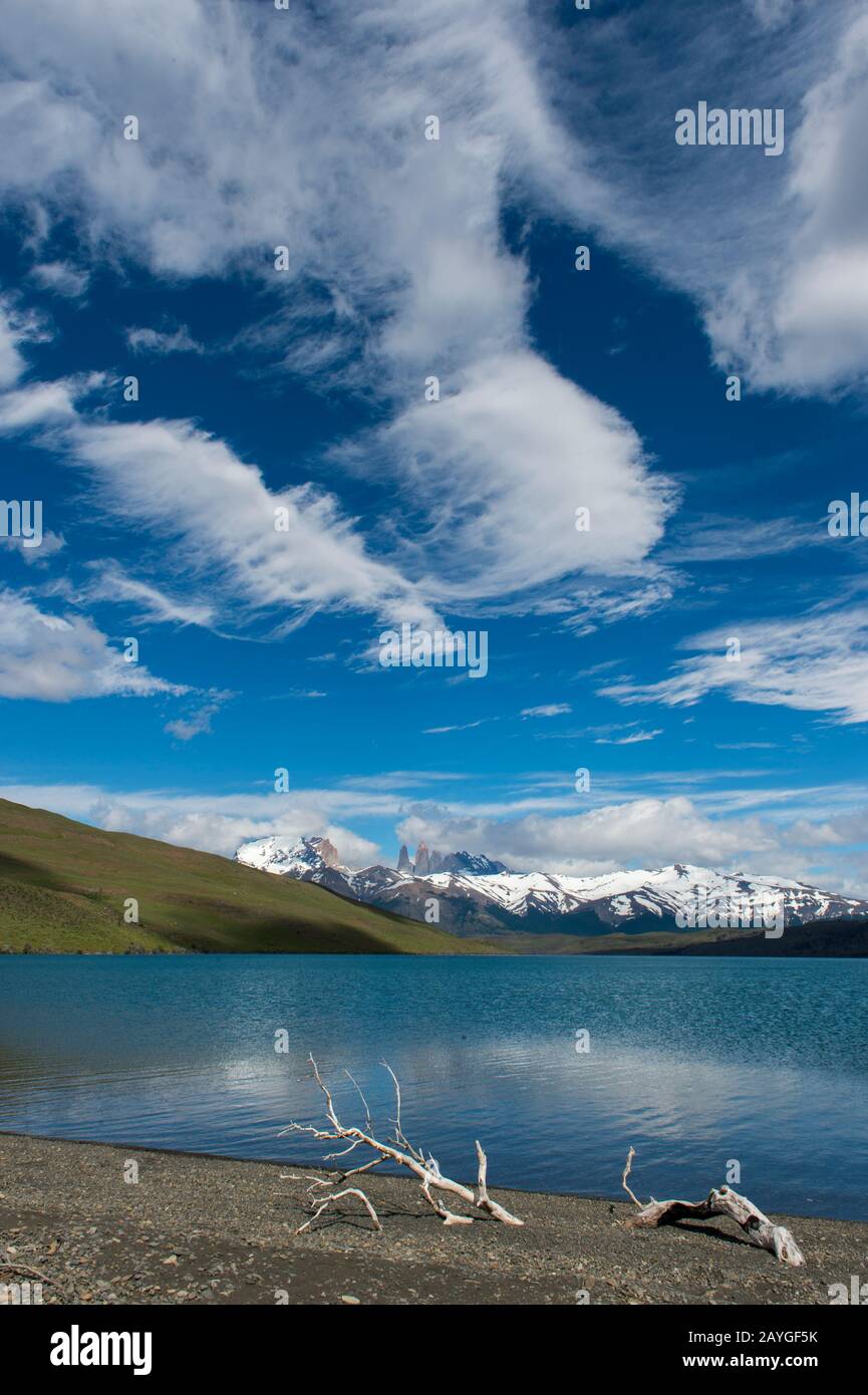 View of Paine Towers with wispy clouds with branch of tree on the beach ...