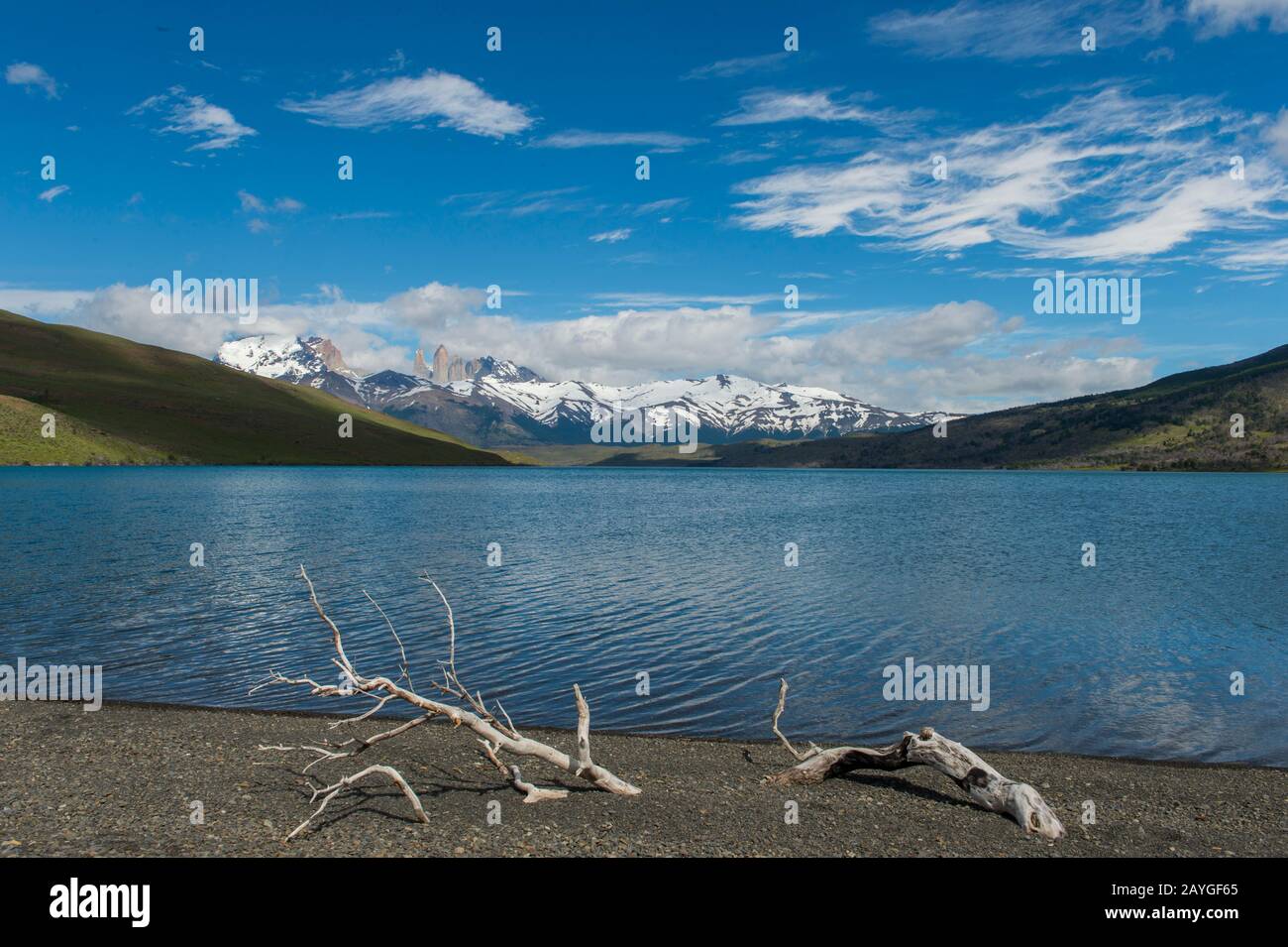 View of Paine Towers from Laguna Azul with branch of tree on the beach ...
